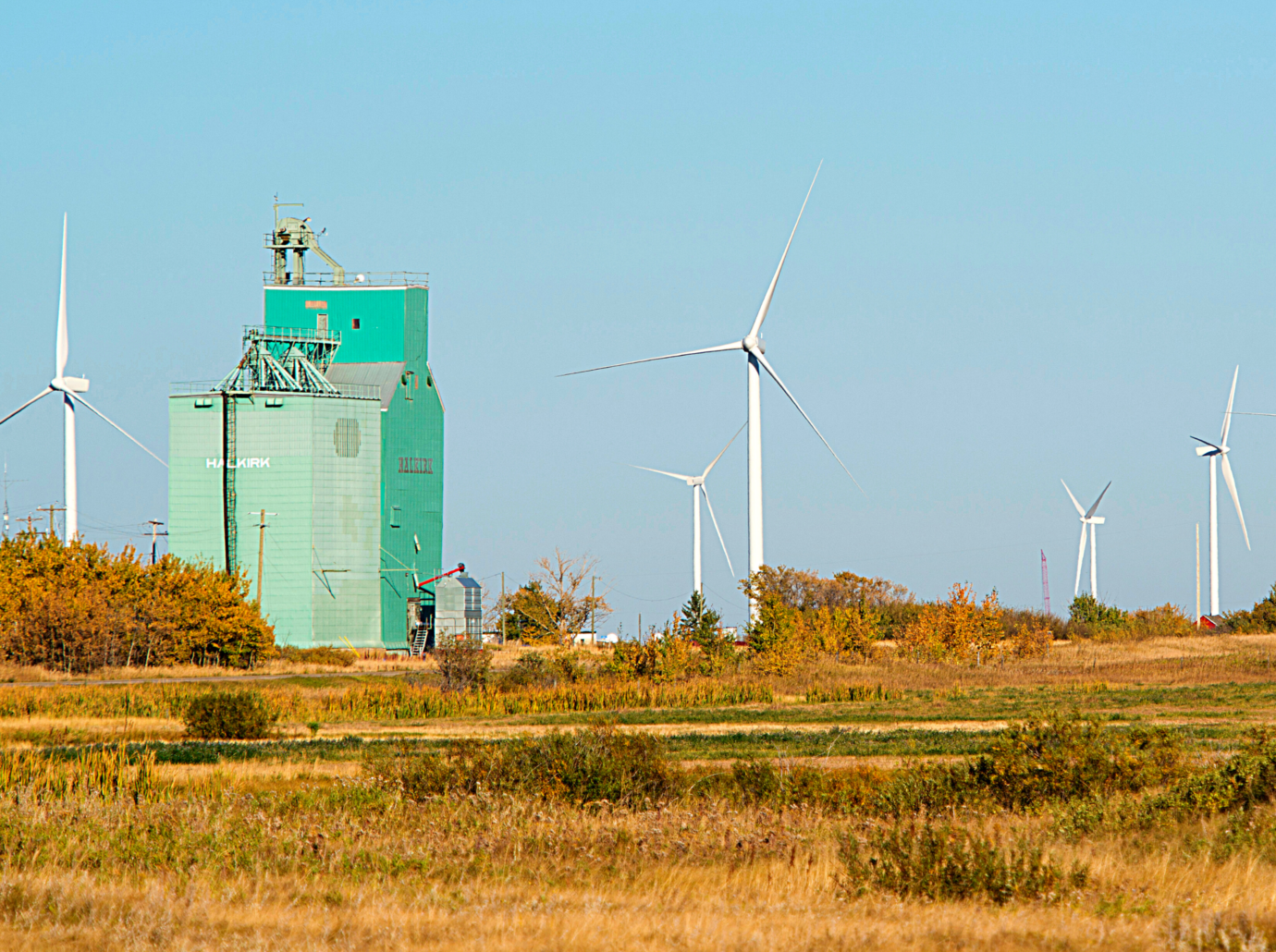Carpe diem, Canada - Canadian Renewable Energy Association
