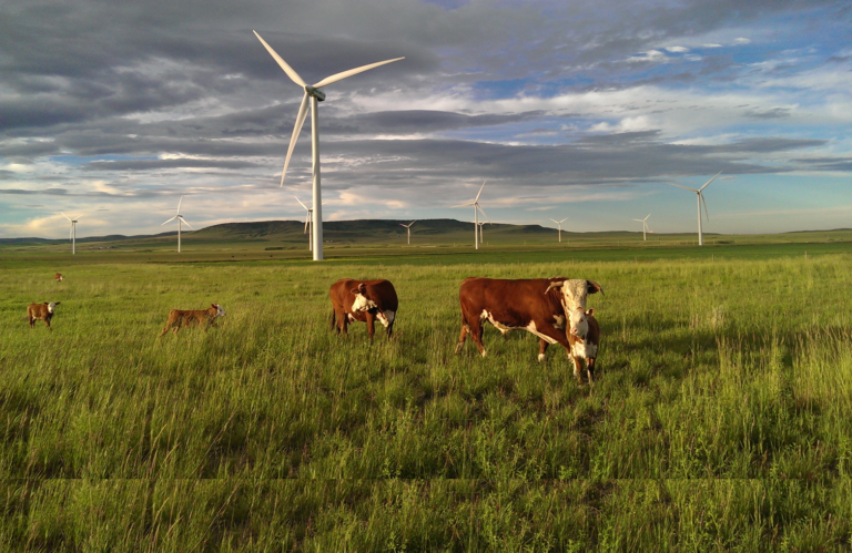 Taking Charge - Canadian Renewable Energy Association