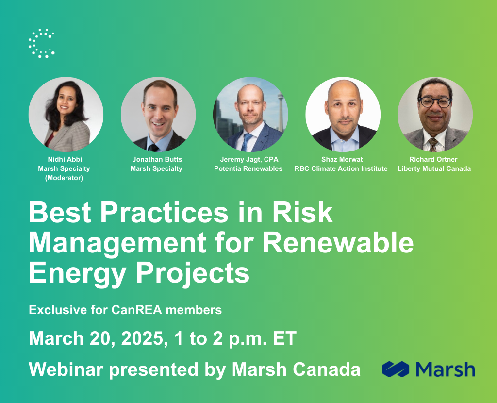 Webinar—Best practices in risk management for renewable energy projects ...